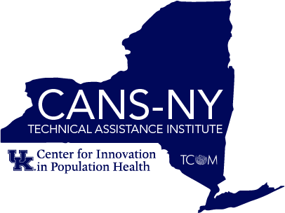 CANS-NY Logo – CANS-NY Technical Assistance Institute